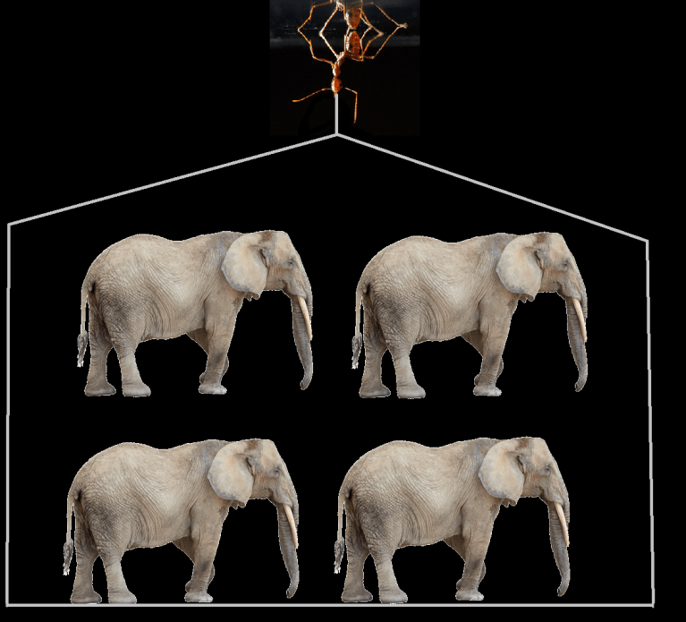 If ants were human sized – Alex's Ants