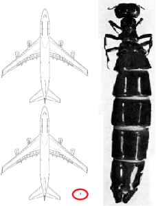 If ants were human sized – Alex's Ants